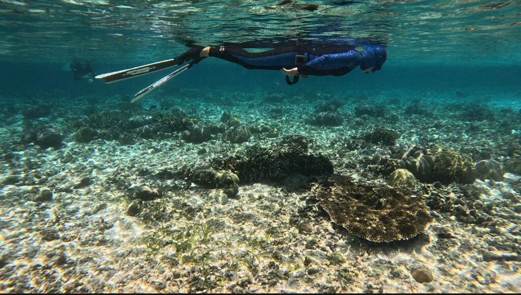 Freediving Bodrum - Serbest Dalış, Bodrum, Turkiye